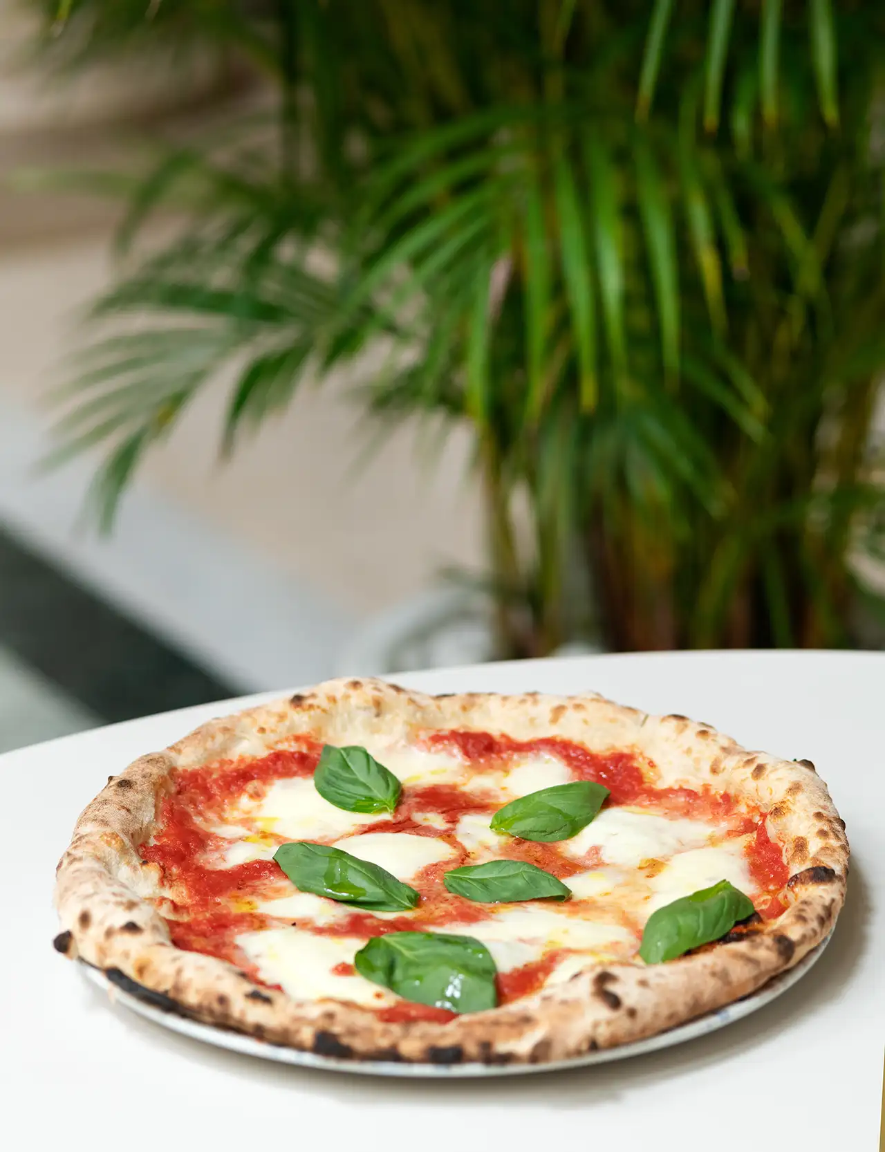 Corte Laica Restaurant - GINGER RISTORANTI